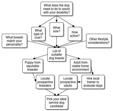 Choosing a Service Dog: PSDP's "Choosing the Right Dog"