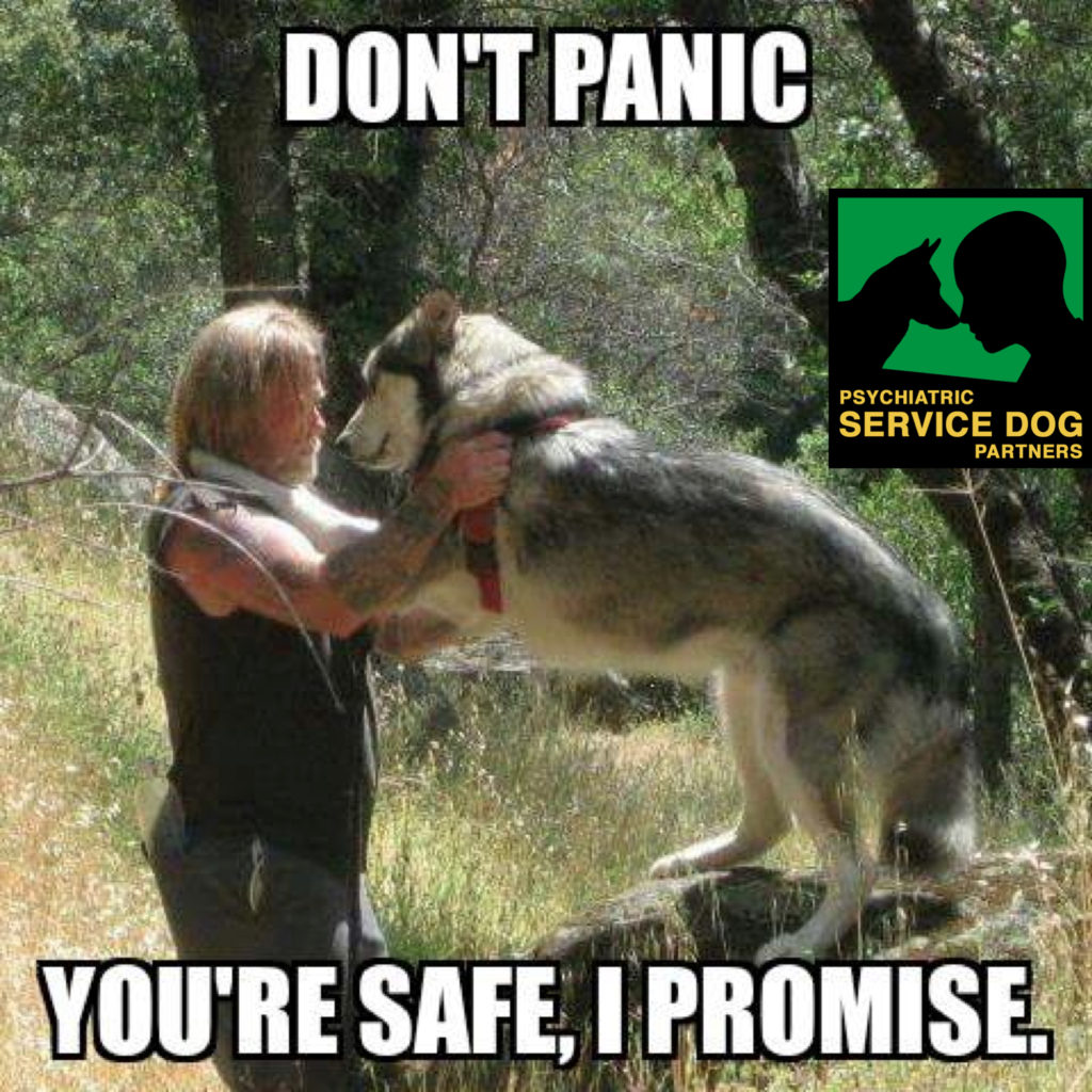 2020 Submissions - Psychiatric Service Dog Partners