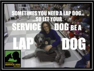 Service Dog Memes - Psychiatric Service Dog Partners