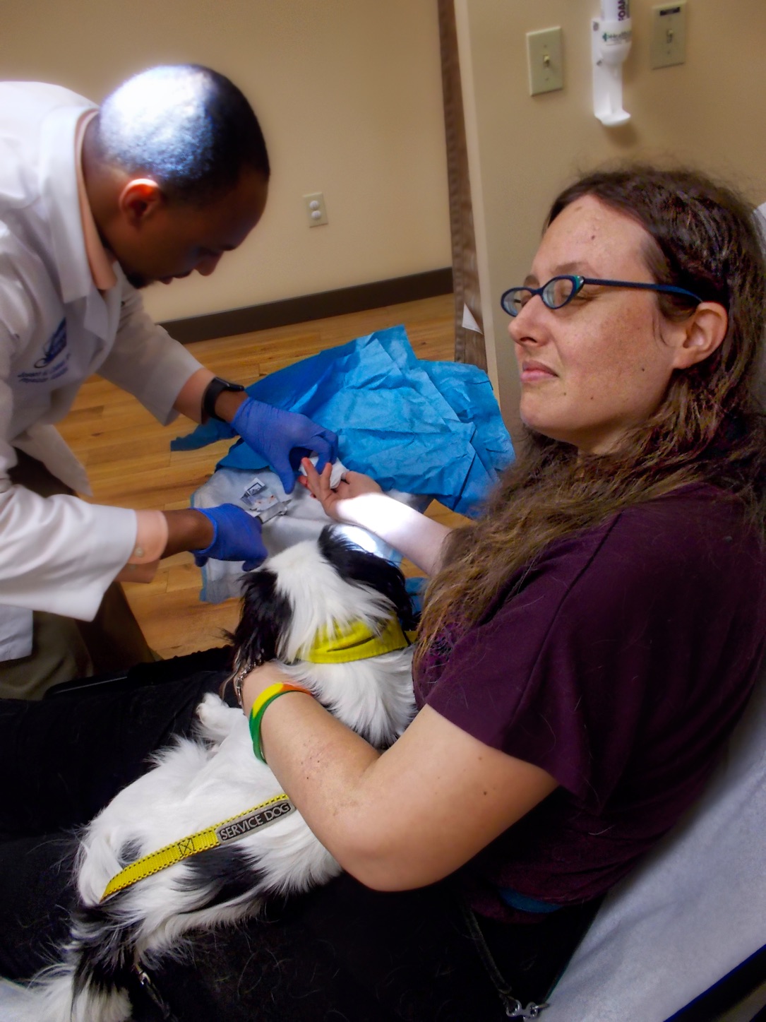 Service dog info for healthcare professionals: access rights & writing ...