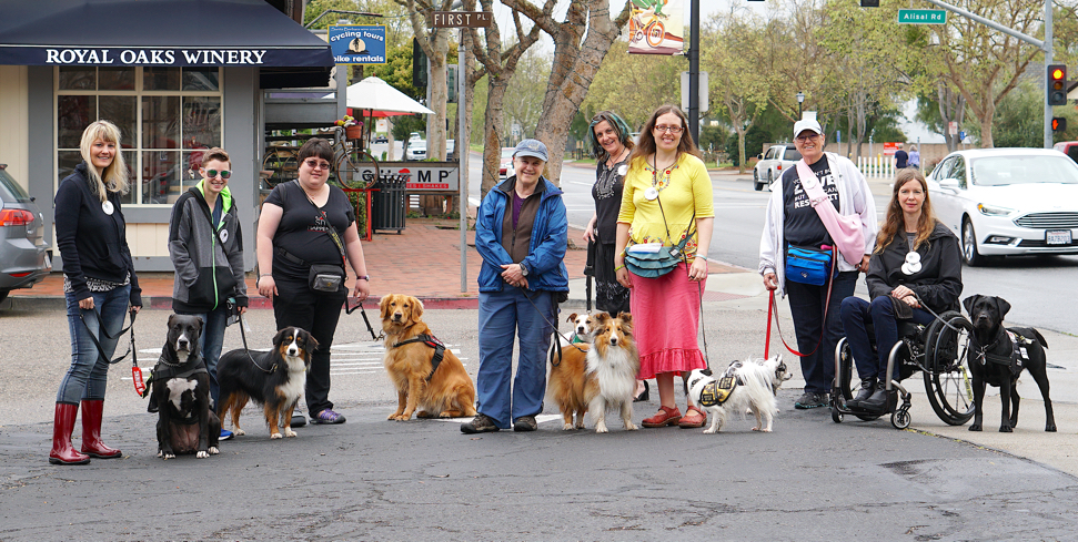 Psychiatric Service Dog Partners: Guidance, Info, & Support