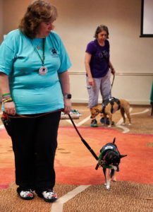 Public Access Test for Minimum Service Dog Behavior