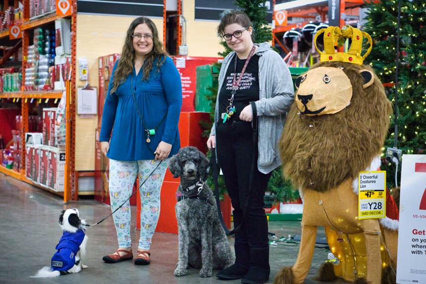 Service dog pics 2020 - Psychiatric Service Dog Partners